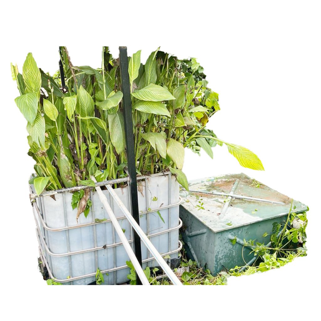 The Environment Friendly Bio-STP | Business Goa